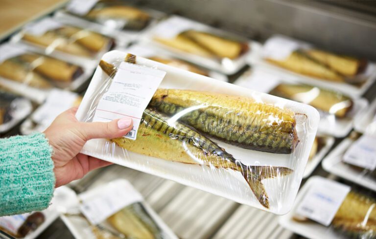 News from NPX ONE - Food Tray Business NPX ONE - NPXONE